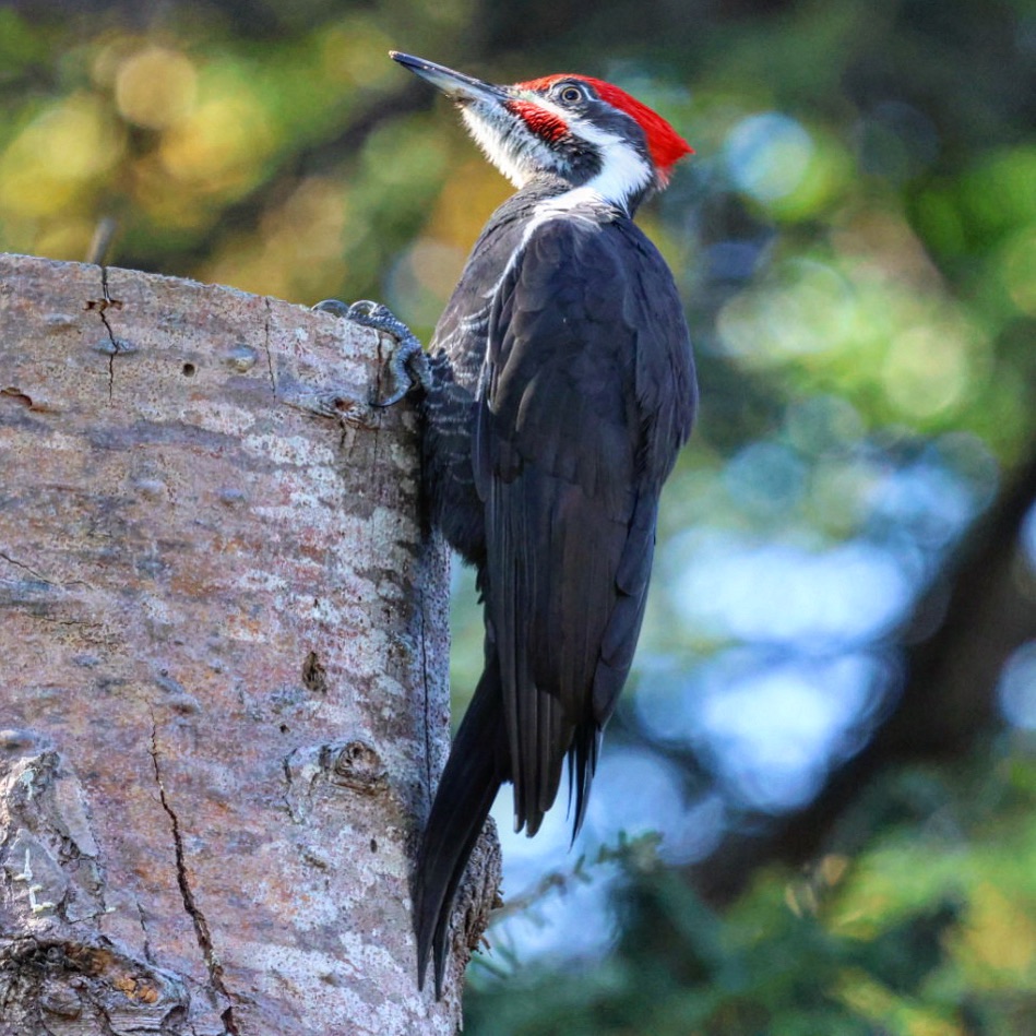 Year ending… and it has been a while since I have brought new images to ...